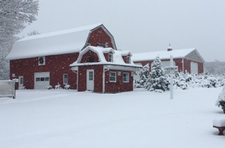 Moore Family Farm | Christmas Trees and Gift Shop