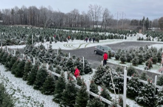 Moore Family Farm | Christmas Trees and Gift Shop